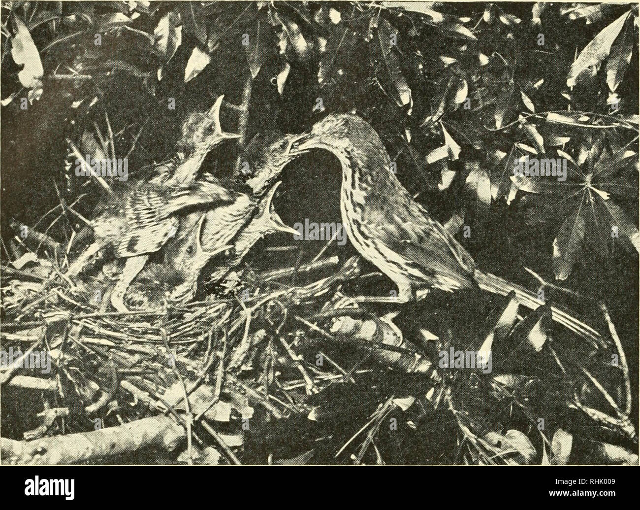 . Biology and man. Biology; Human beings. .s. A. Grimes, from National ...