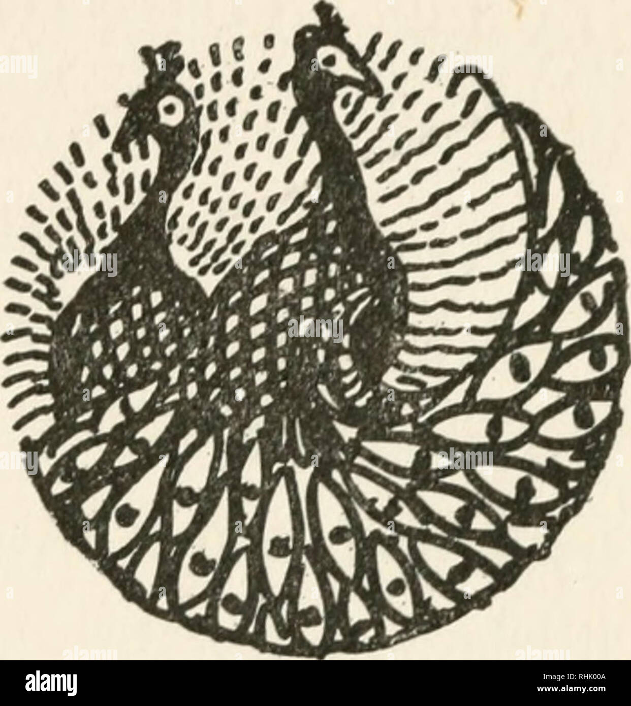 Sappho and phaon hi-res stock photography and images - Alamy