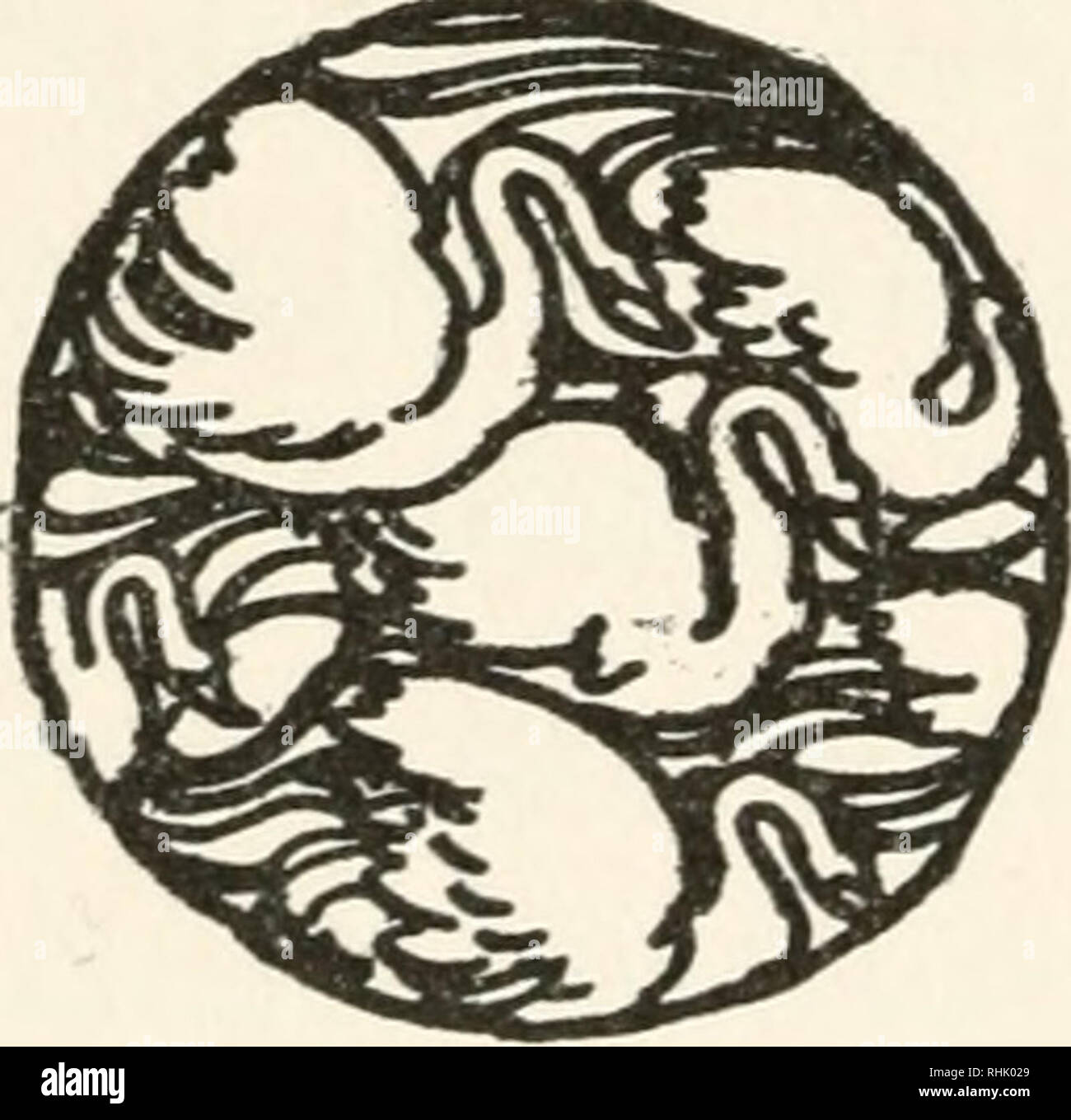 Conchobar hi-res stock photography and images - Alamy