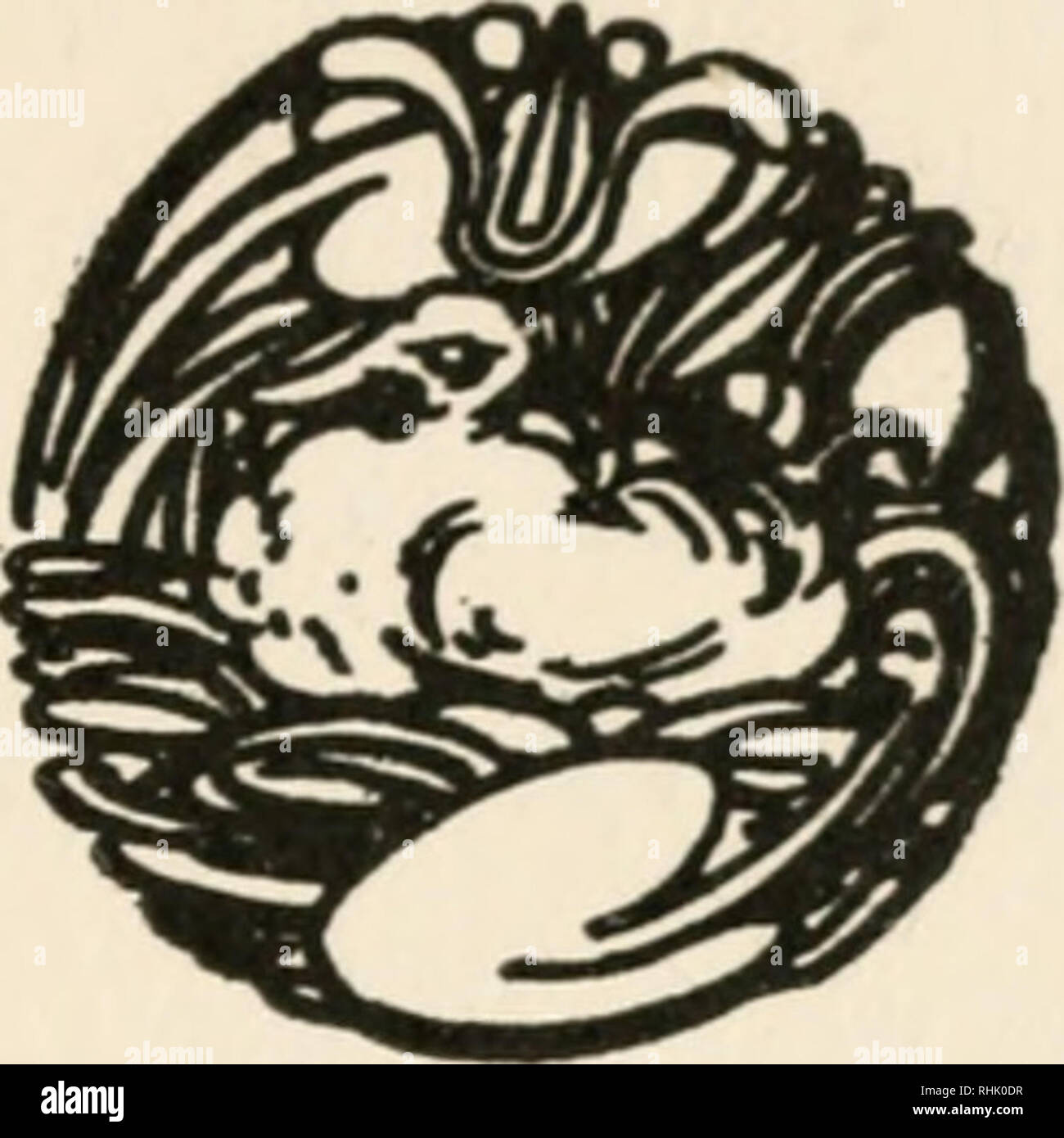 . Bird gods. Animal worship; Birds -- Folklore. Preface of the bird ...