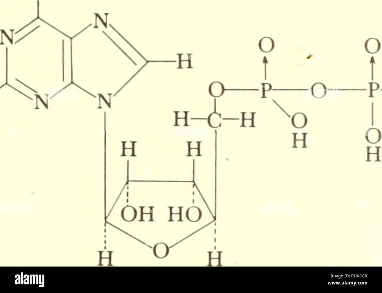 Molécule adp hi-res stock photography and images - Alamy