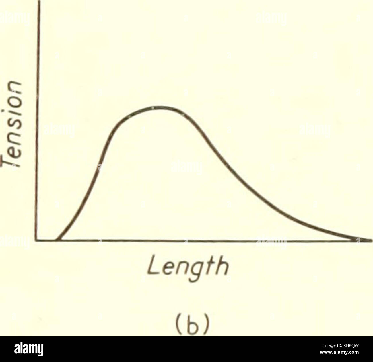 Isotonic Contraction