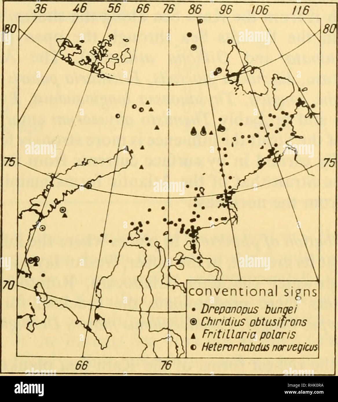 Oikopleura vanhoeffeni hi-res stock photography and images - Alamy