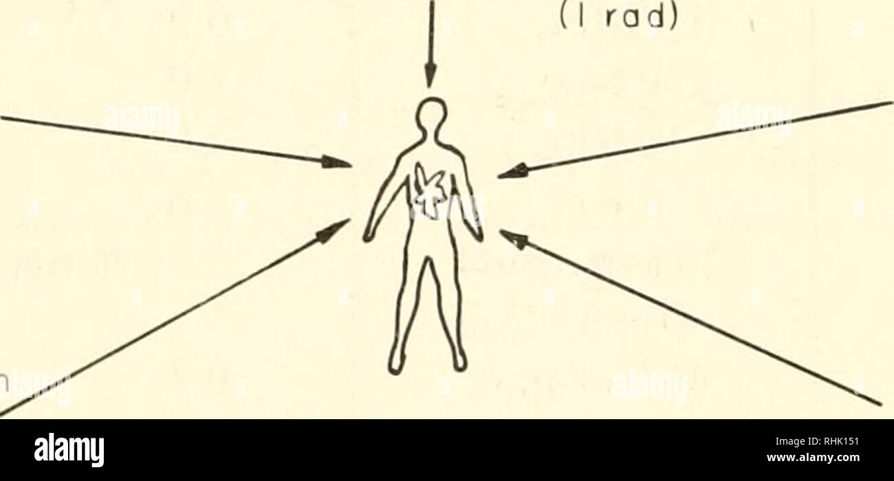. Biophysics: concepts and mechanisms. Biophysics. 238 BIOLOGICAL ...