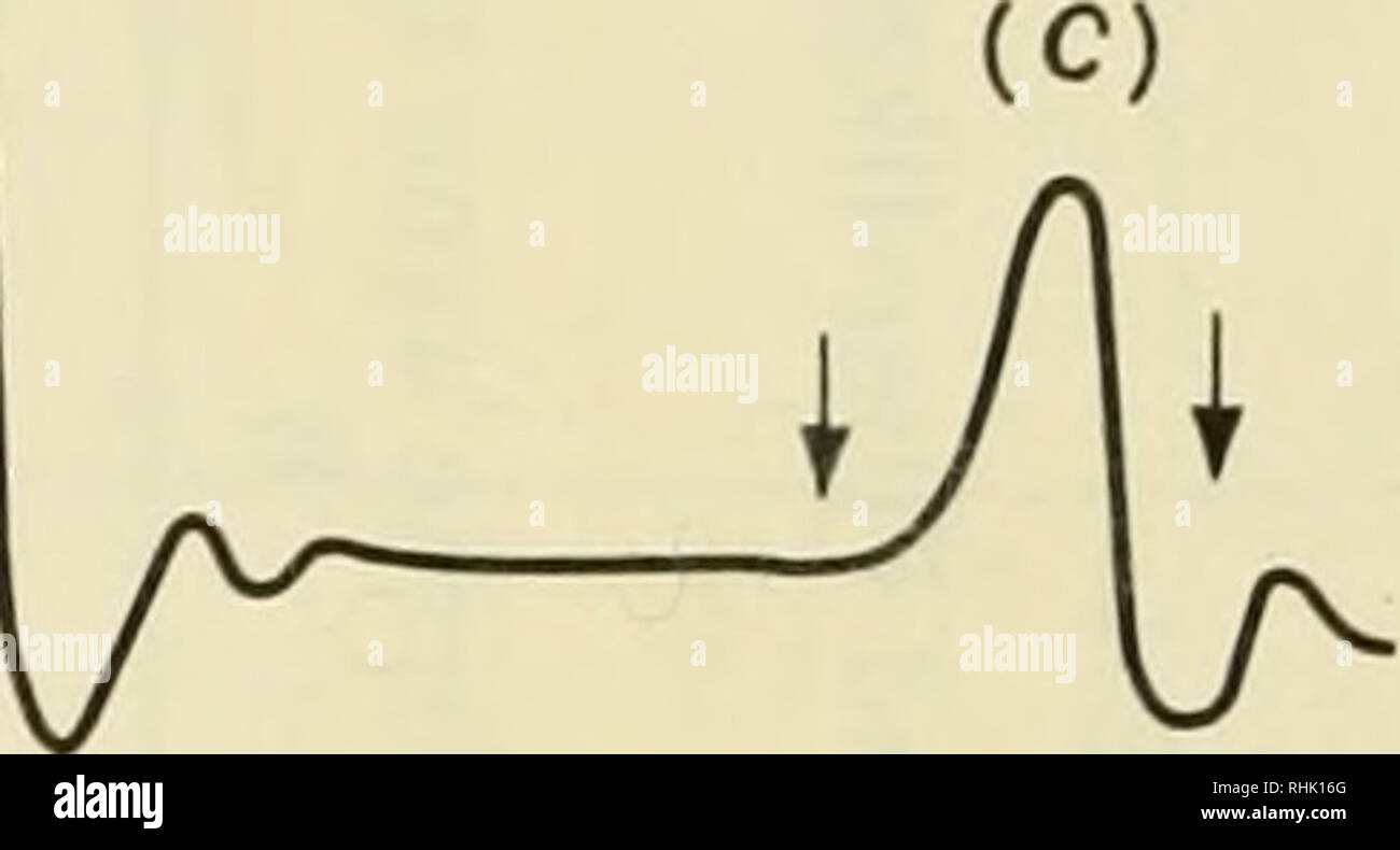 . Biophysical science. Biophysics. Subthreshold Stimulus Produces Local ...
