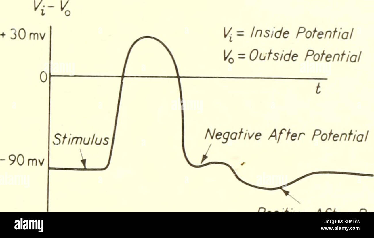 Cathode ray oscilloscope hi-res stock photography and images - Alamy