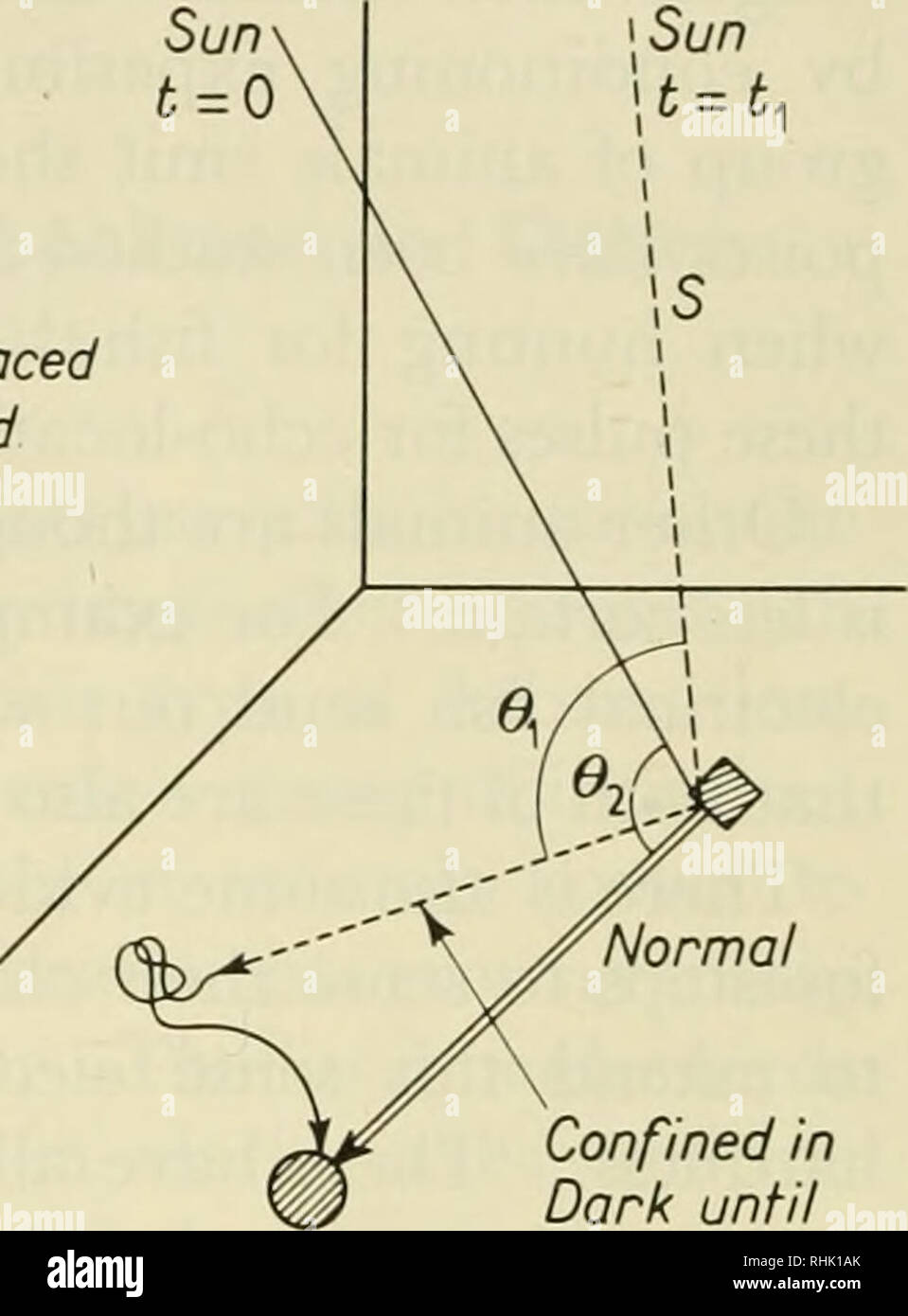 . Biophysical science. Biophysics. (b). (d) Normal Confined in Dark ...