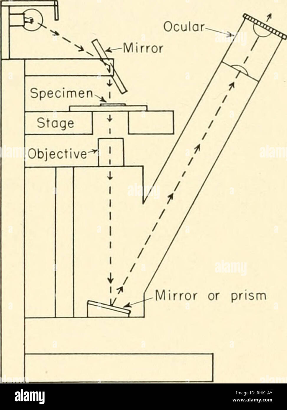 Inverted microscopes hi-res stock photography and images - Alamy
