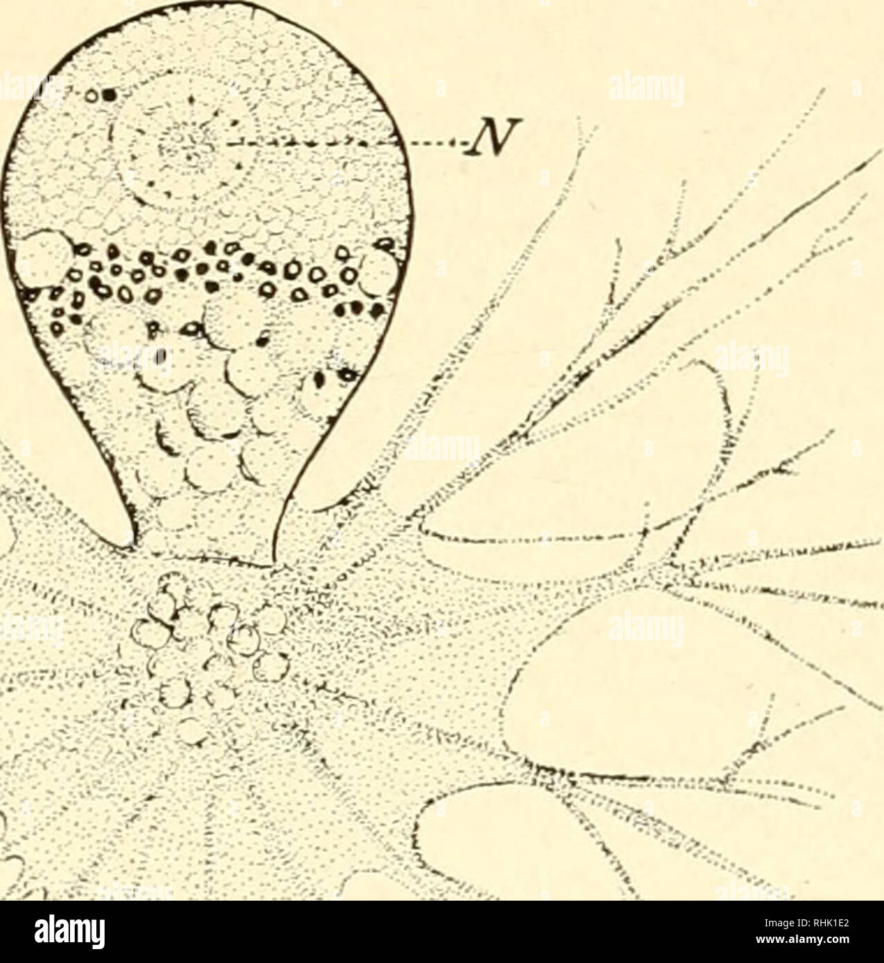 Iwx hi-res stock photography and images - Alamy