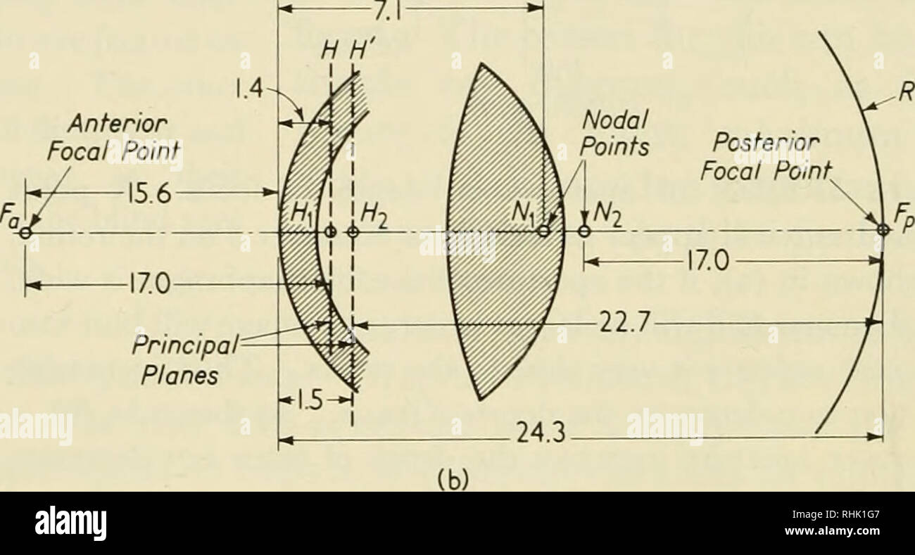 . Biophysical science. Biophysics. Crystalline Lens 10 17.10 Vitreous ...