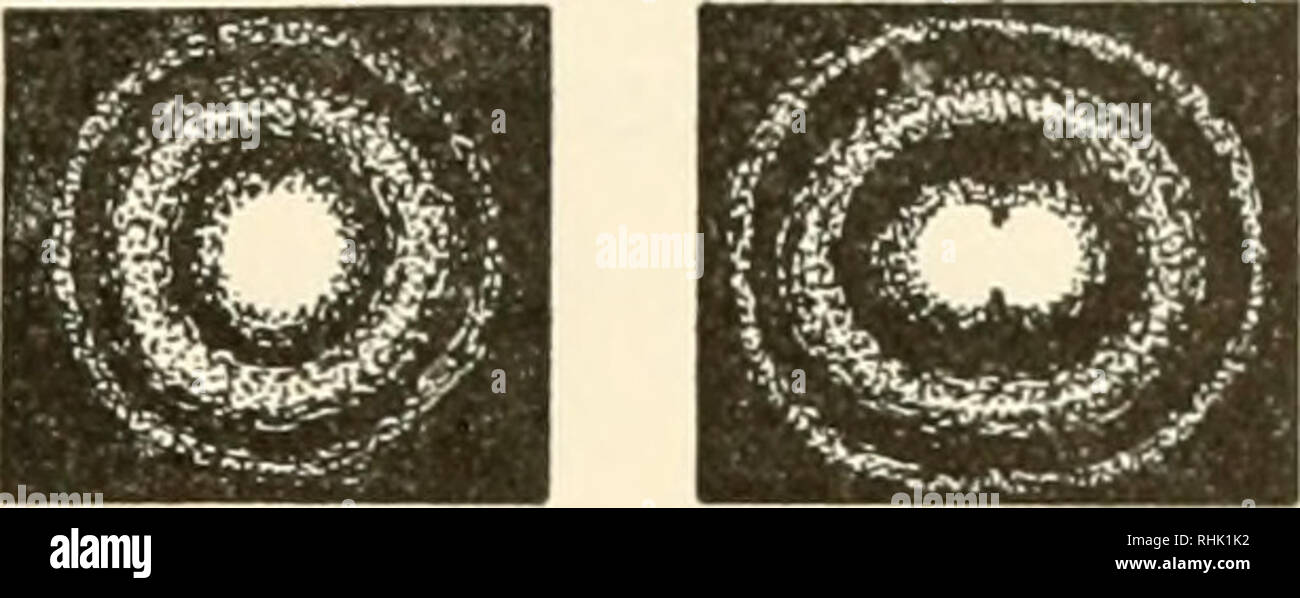 . Biophysical research methods. Biophysics -- Research. XI. WHEN TO USE ...