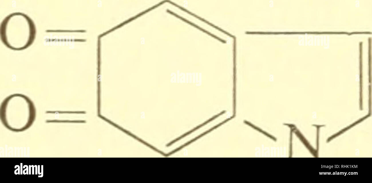. The biology of marine animals. Marine animals; Physiology ...