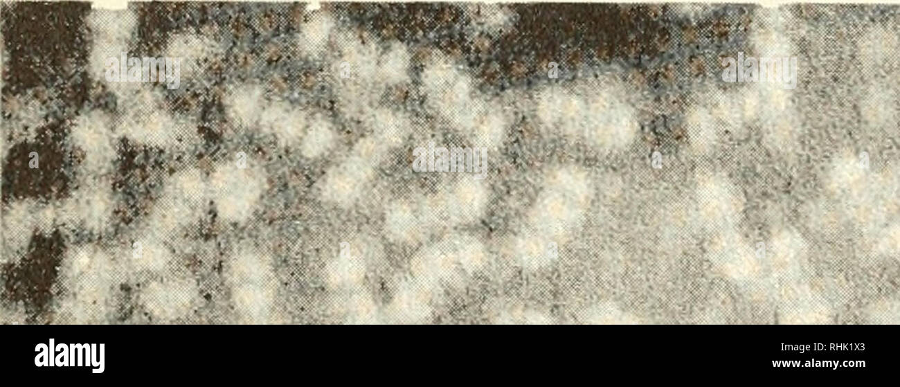 Uncoiled dna hi-res stock photography and images - Alamy