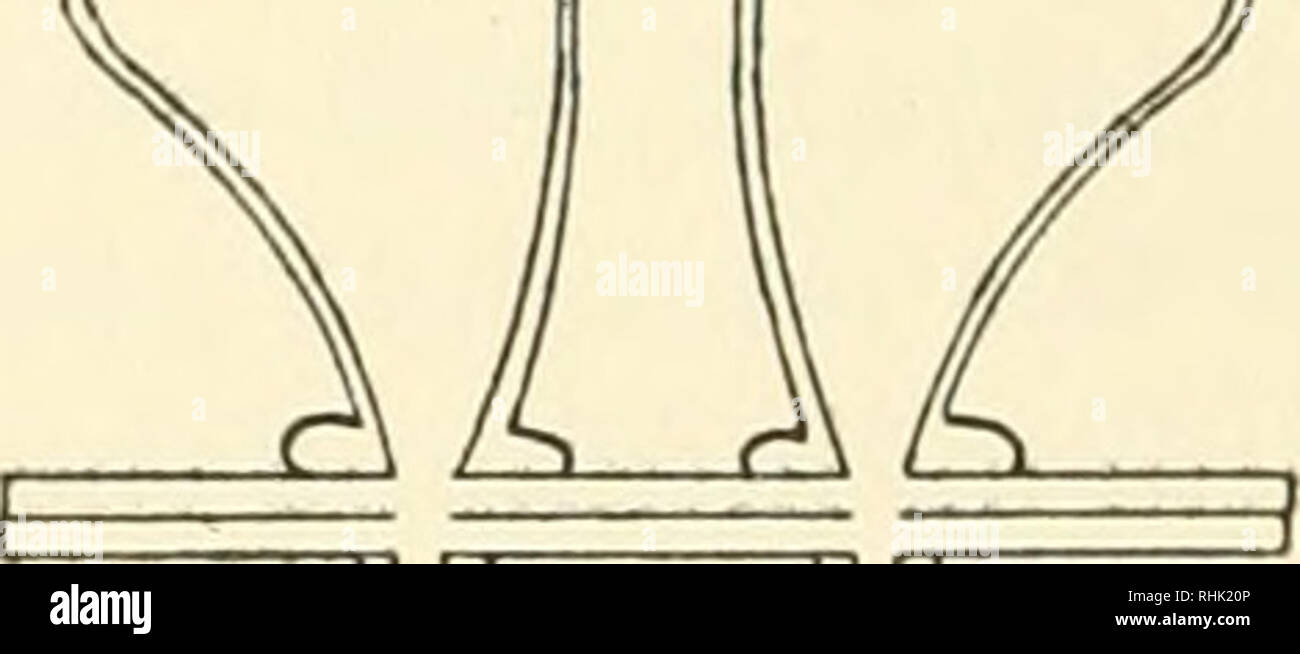. Biophysical research methods. Biophysics -- Research. 3 Fig. 3 ...