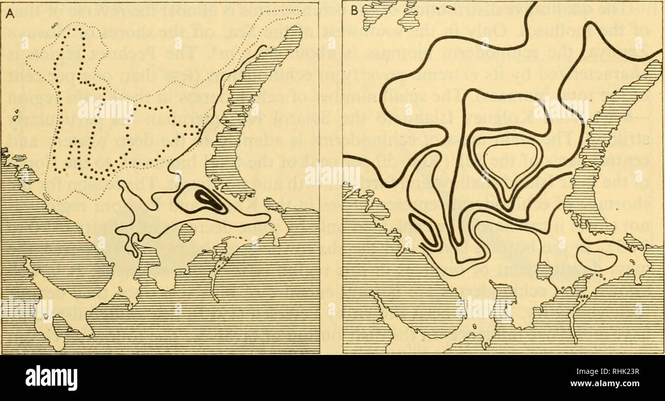Epifauna High Resolution Stock Photography and Images - Alamy