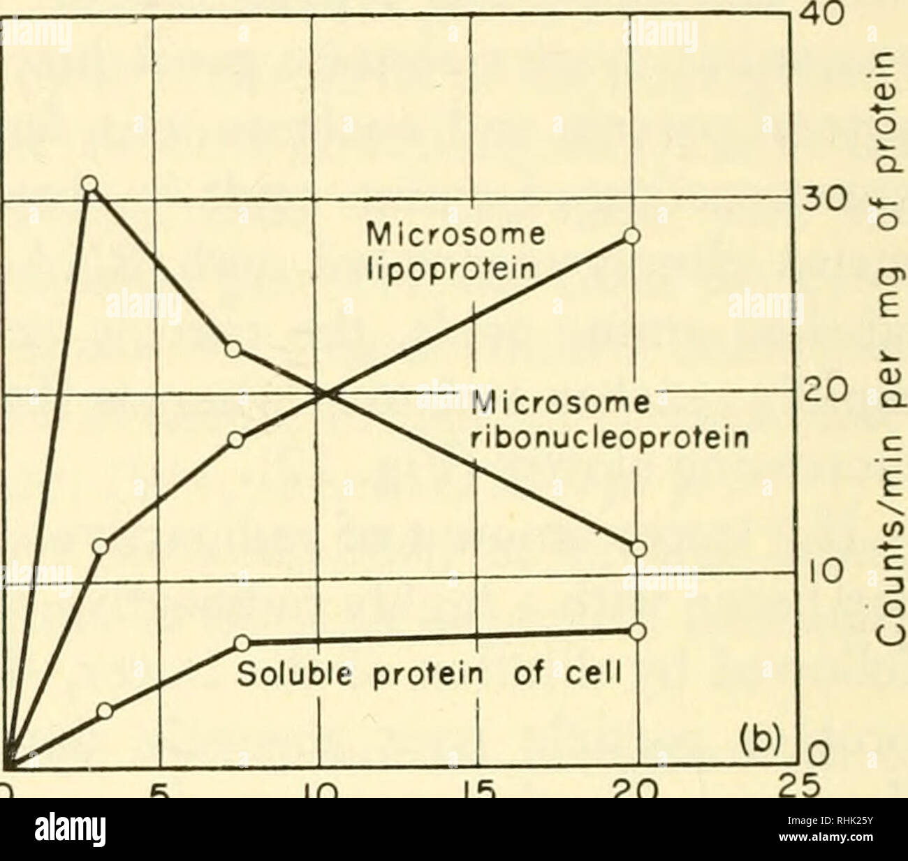 Ribonucleoprotein particles hi-res stock photography and images - Alamy