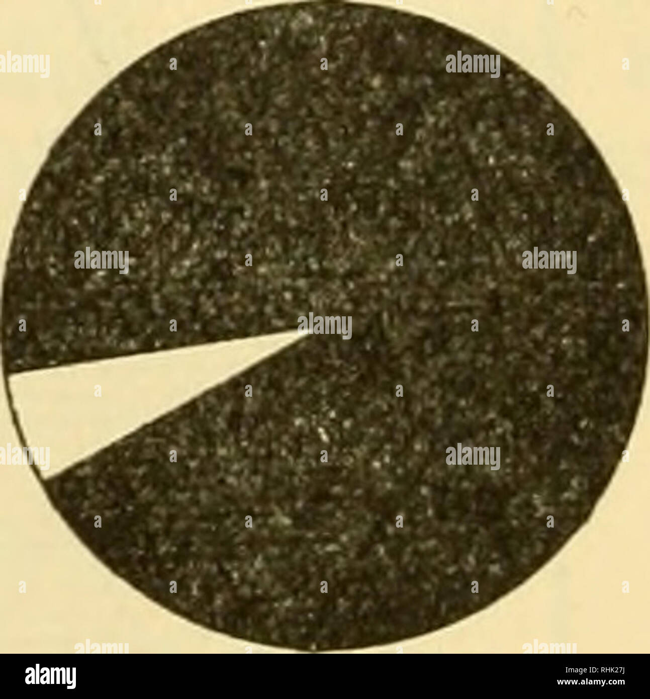 Pleuronectes flesus hi-res stock photography and images - Alamy