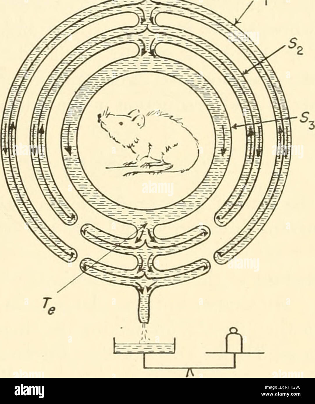 Adiabatic calorimeter hi-res stock photography and images - Alamy