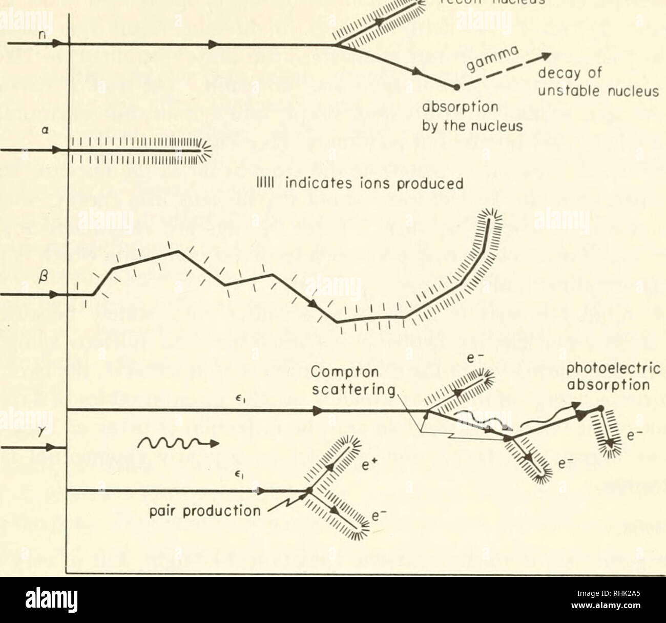 . Biophysics: concepts and mechanisms. Biophysics. IONIZATION AND ...