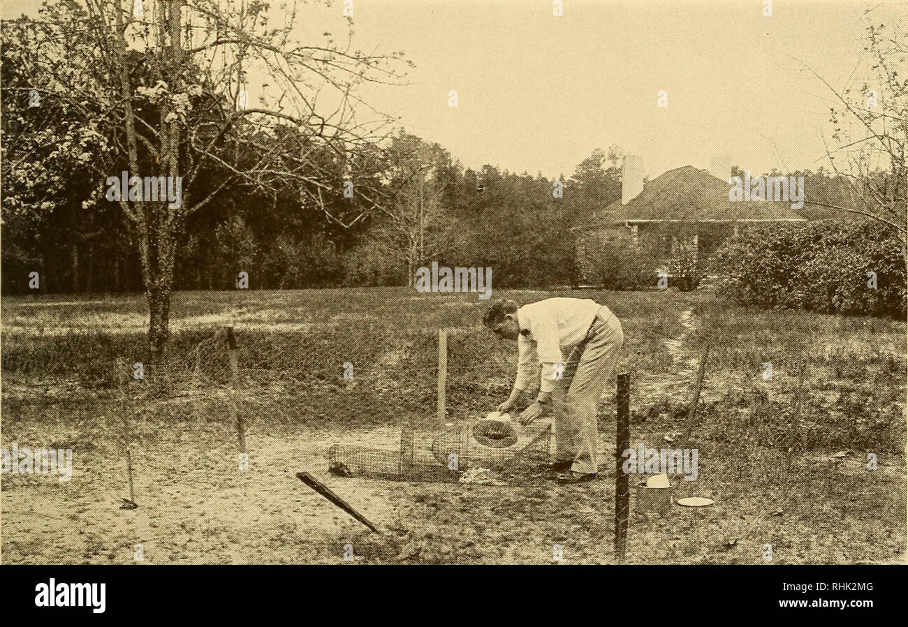 Trapping station hi-res stock photography and images - Alamy