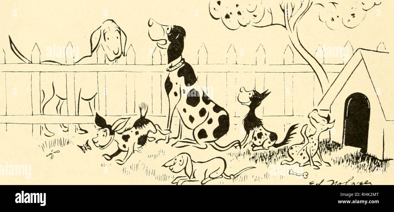 Second Law Of Thermodynamics Comic