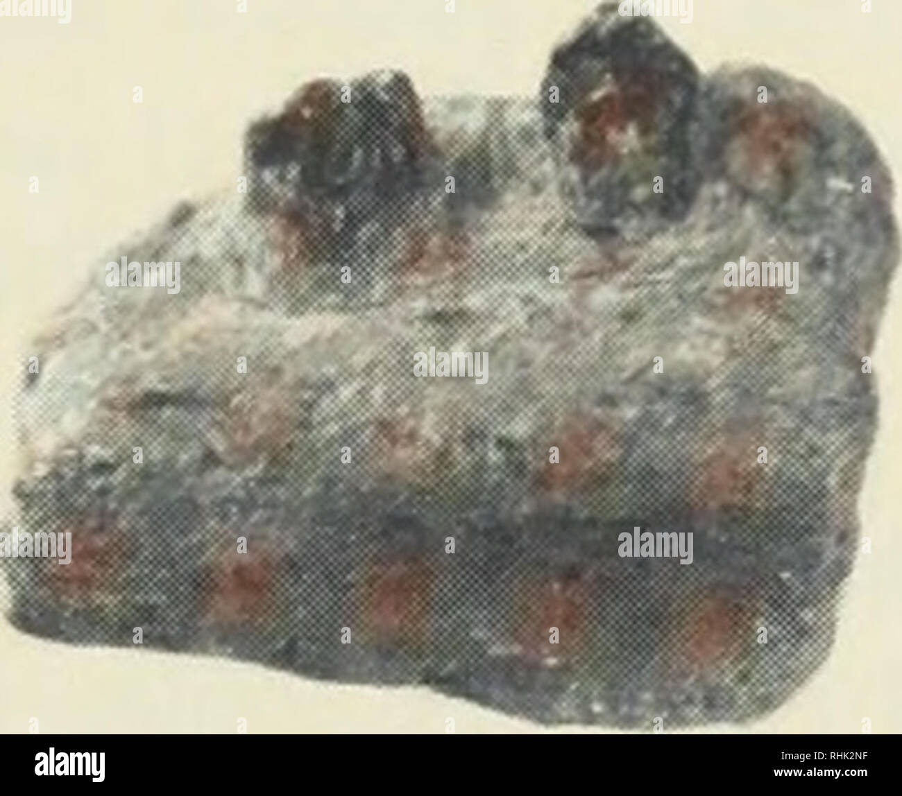 Biostratigraphy hi-res stock photography and images - Alamy