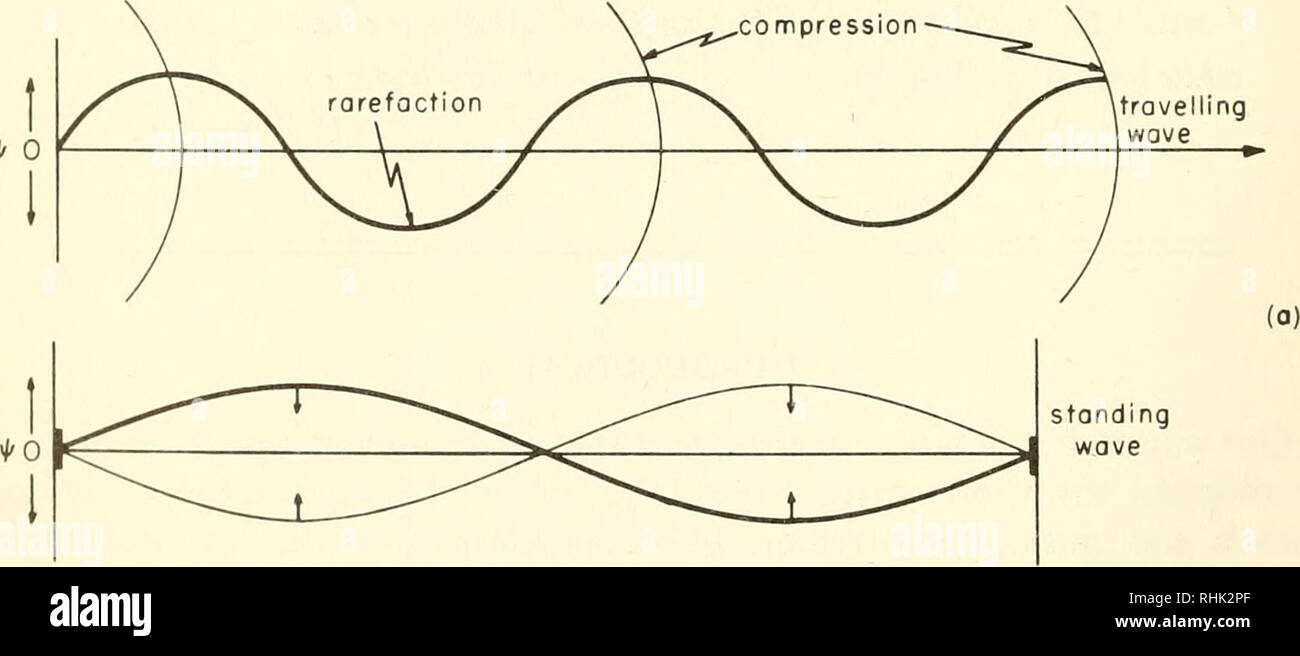 Standing Wave Example
