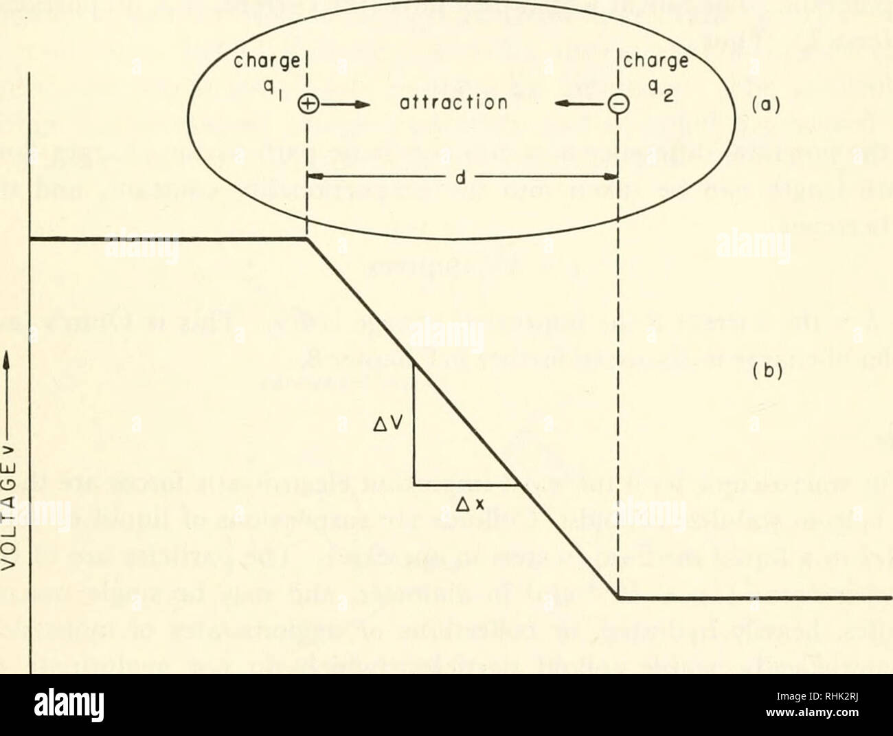 . Biophysics: concepts and mechanisms. Biophysics. ELECTRICAL FORCES 39 ...
