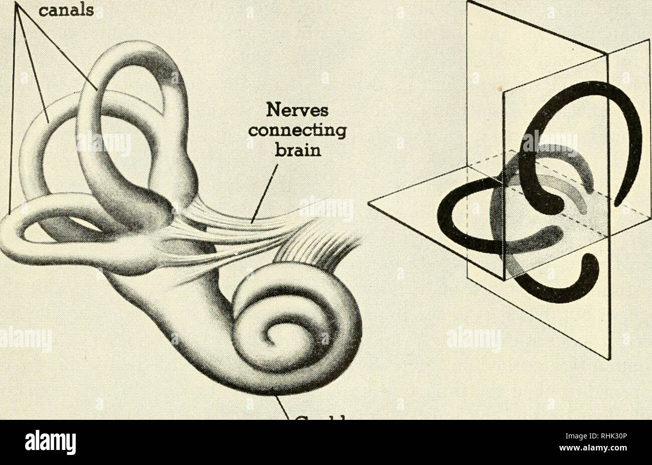 Rapid physical changes hi-res stock photography and images - Alamy