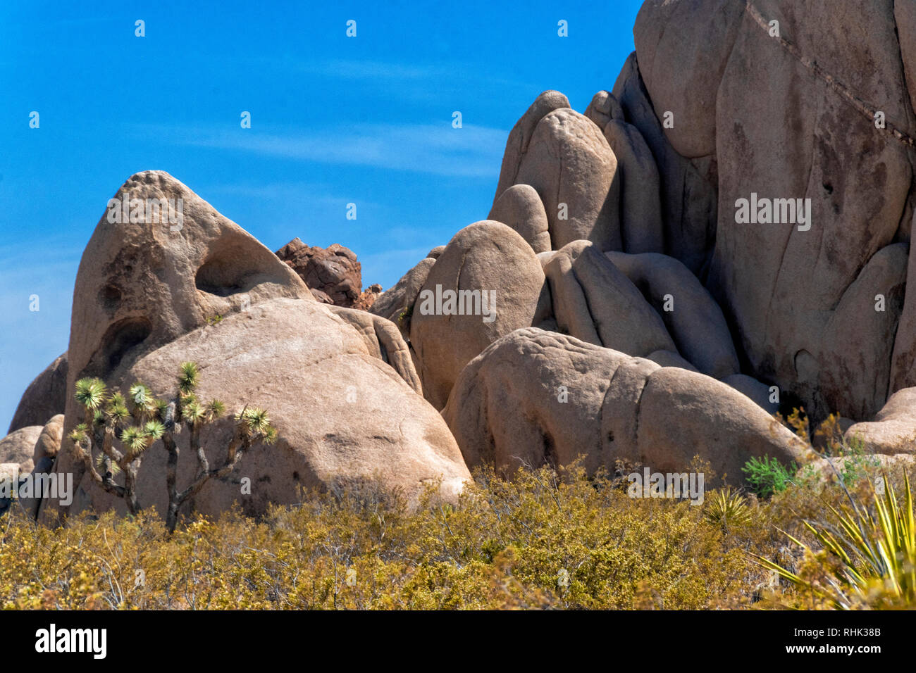 Skull rock joshua tree hi-res stock photography and images - Alamy