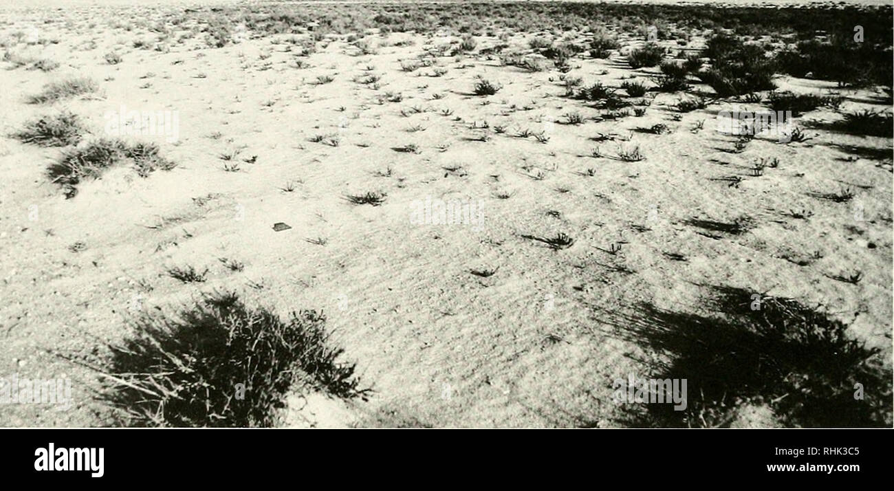 Scrubland habitats hi-res stock photography and images - Alamy