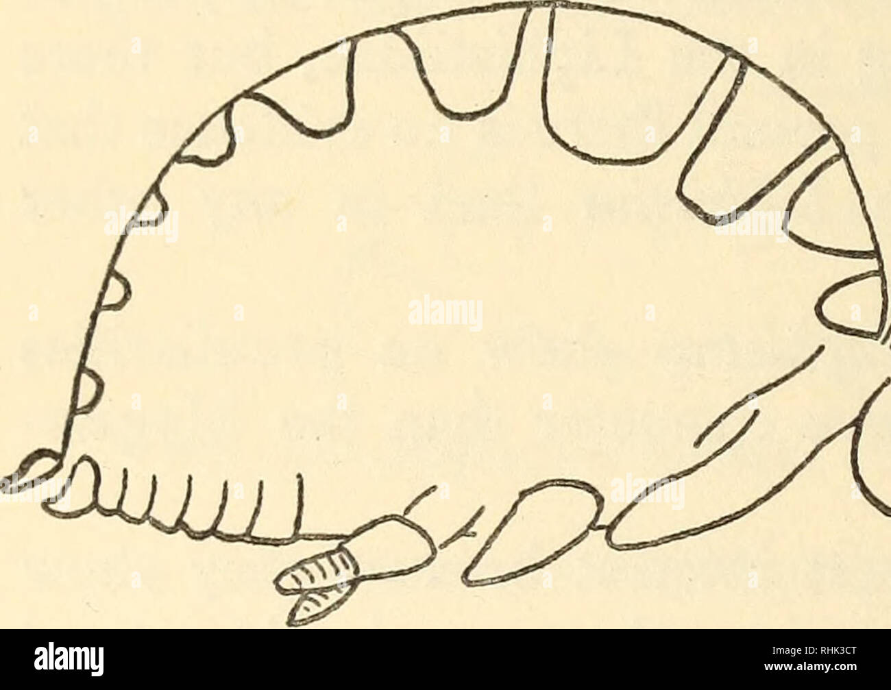 Sheet spider web cave hi-res stock photography and images - Alamy