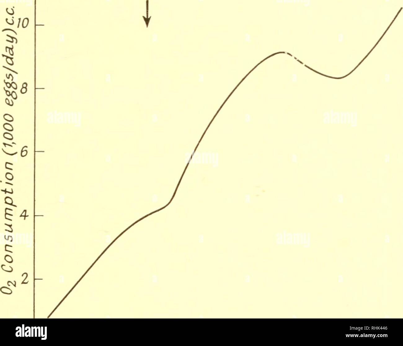 . The biology of marine animals. Marine animals; Physiology ...