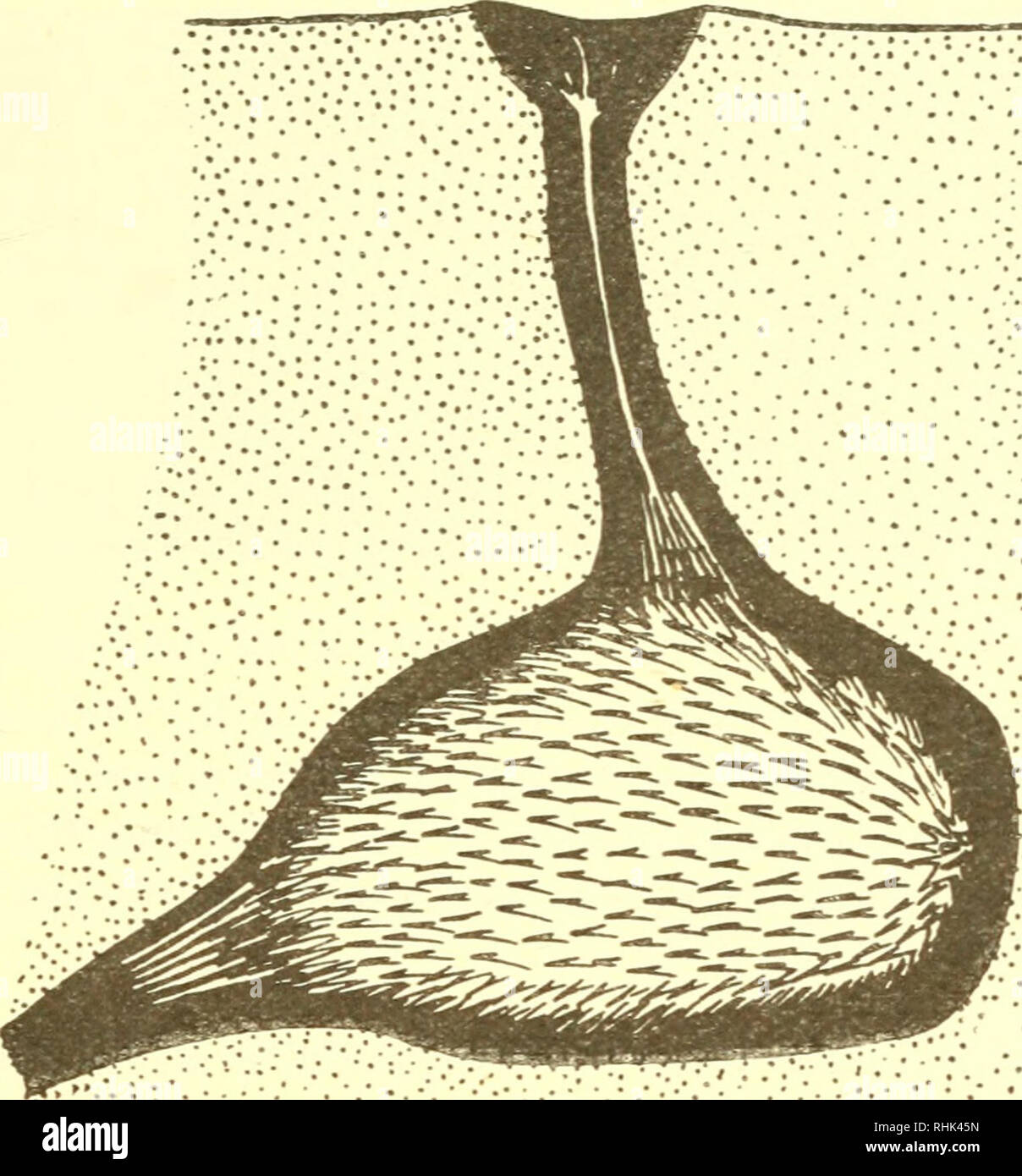 U shaped burrow hi-res stock photography and images - Alamy