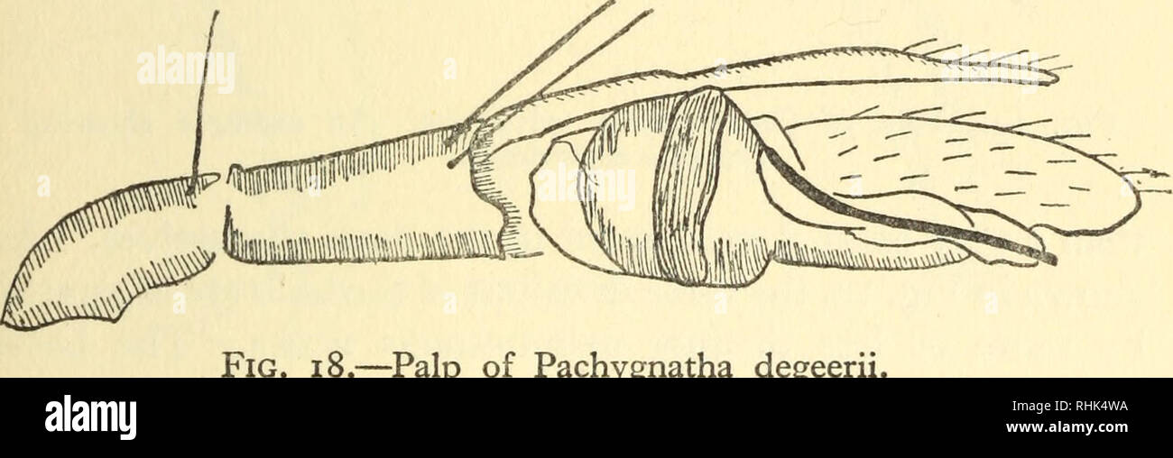 . The biology of spiders. Spiders; Insects. ophi- After tion of the ...
