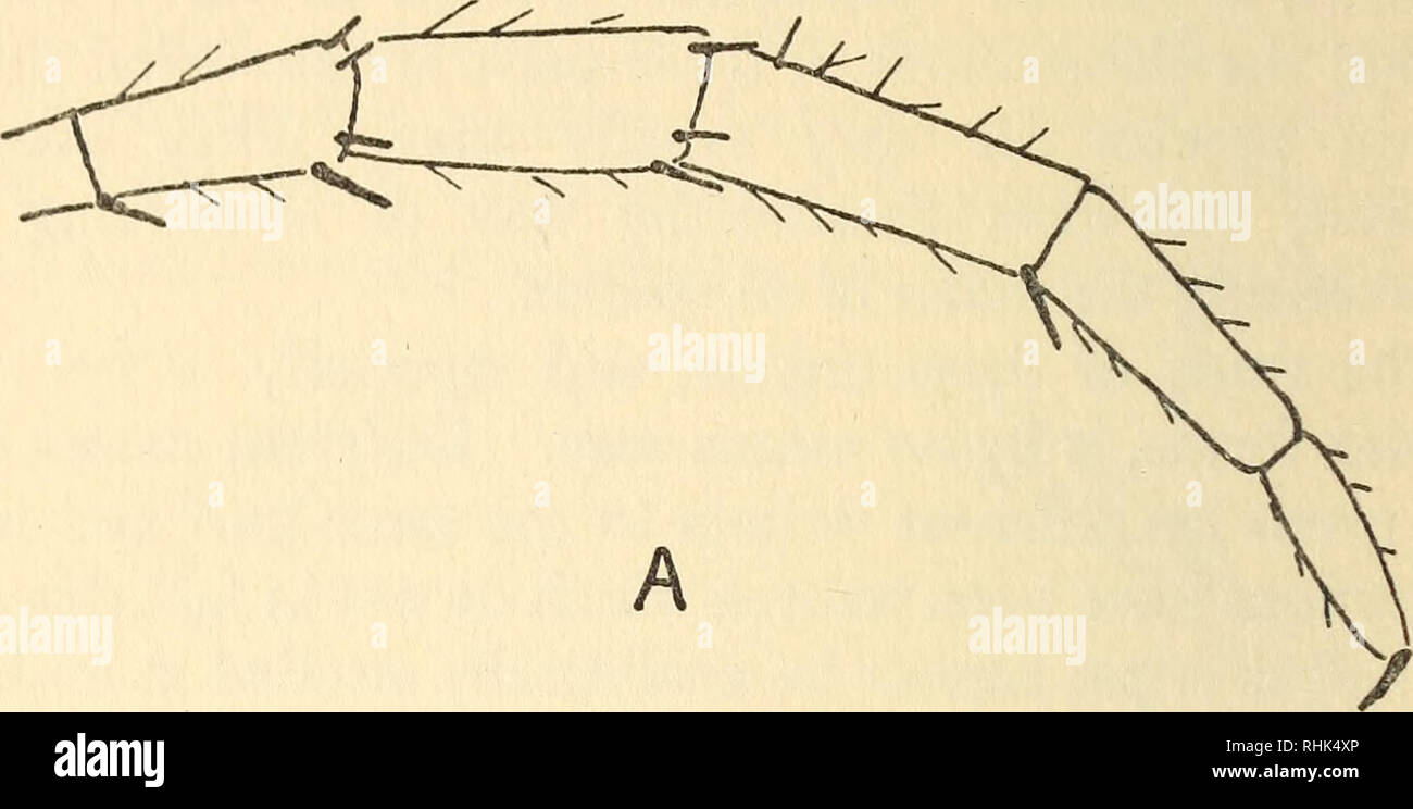 . The biology of spiders. Spiders; Insects. 3© THE BIOLOGY OF SPIDERS ...