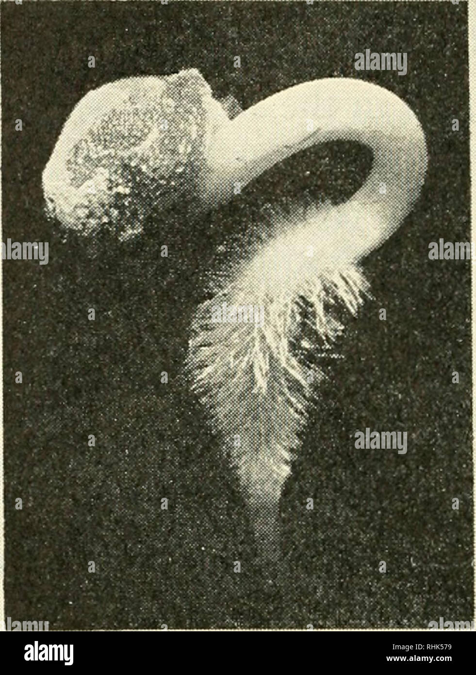 . Biology and man. Biology; Human beings. Central cylinder Root hairs ...