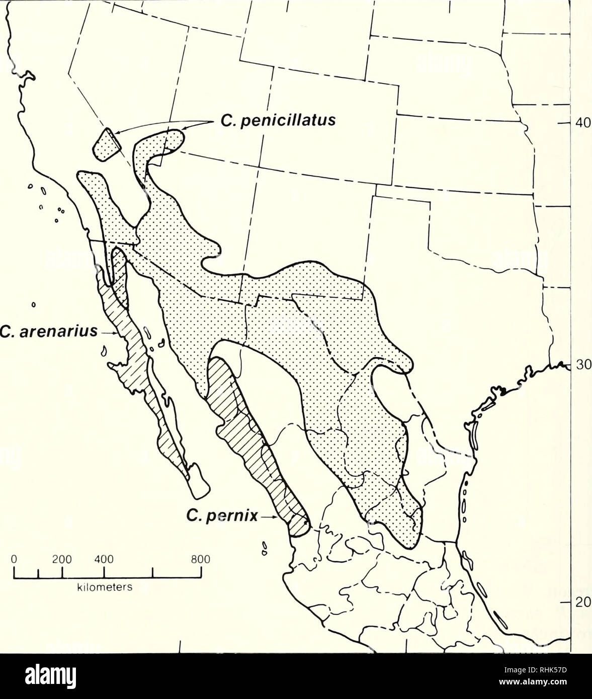 Allopatric range hi-res stock photography and images - Alamy