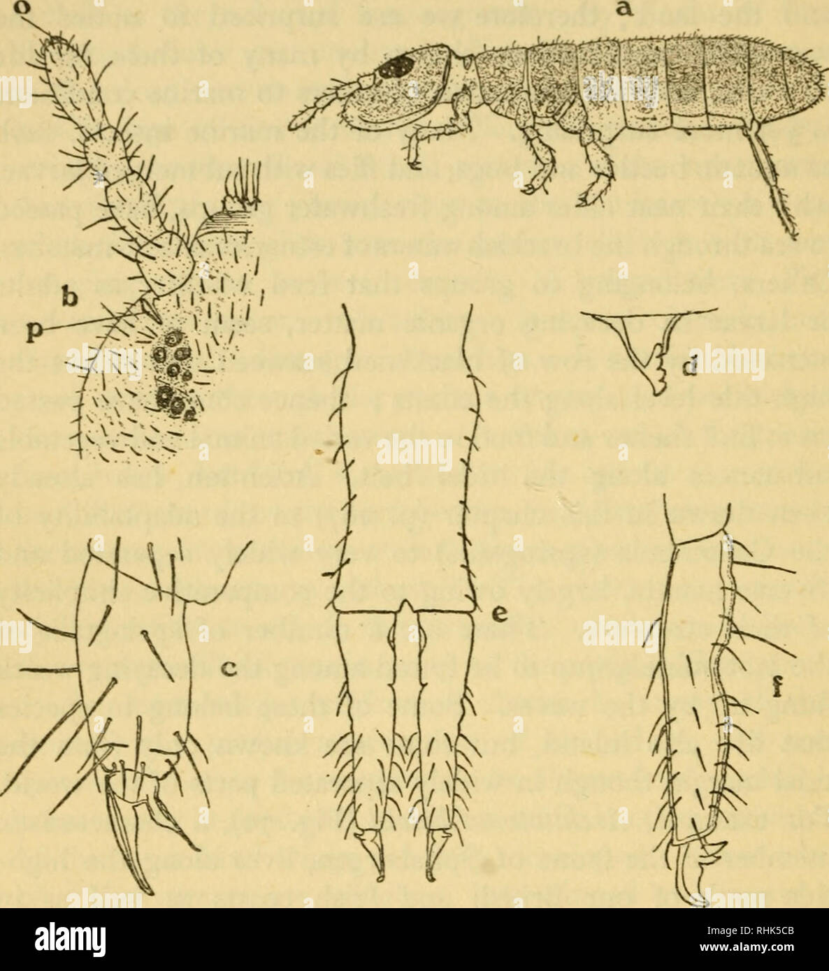 . The biology of insects. Insects -- Biology. 284 THE BIOLOGY OF ...