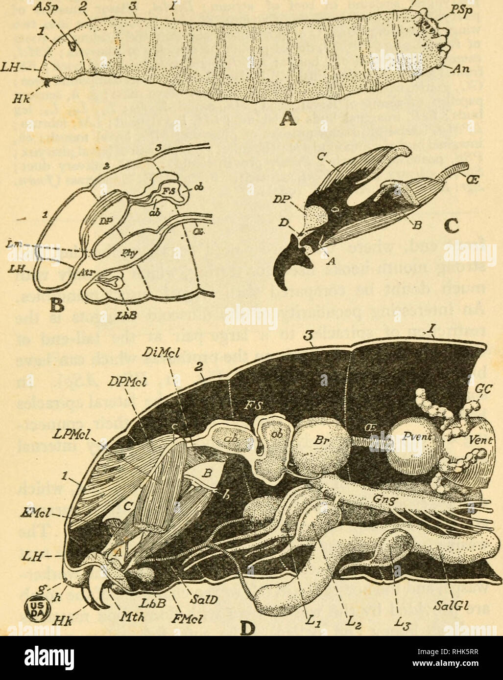 . The biology of insects. Insects -- Biology. GROWTH AND TRANSFORMATION ...