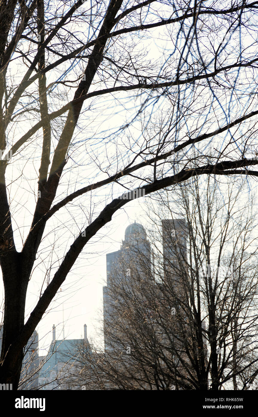 A New York City winter cityscape as seen through the leafless ...