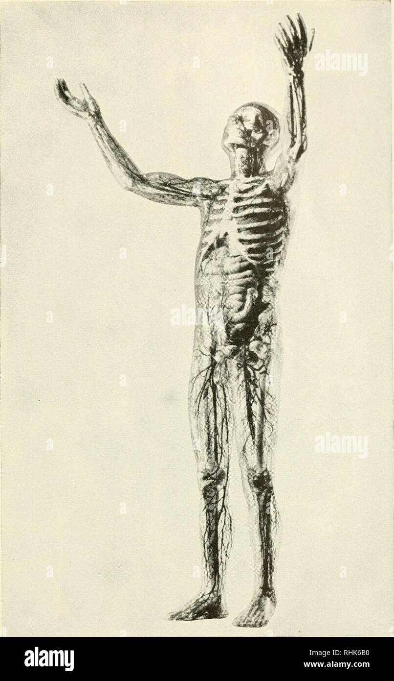 . Biology and man. Biology; Human beings. Aiiiericaii Museum of Heallli ...