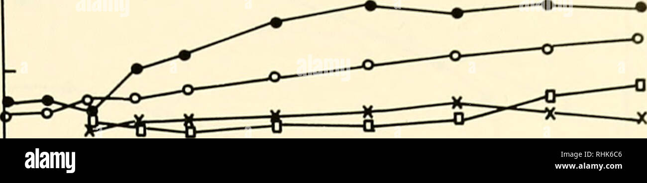 Brain growth age 5 to 20 hi-res stock photography and images - Alamy