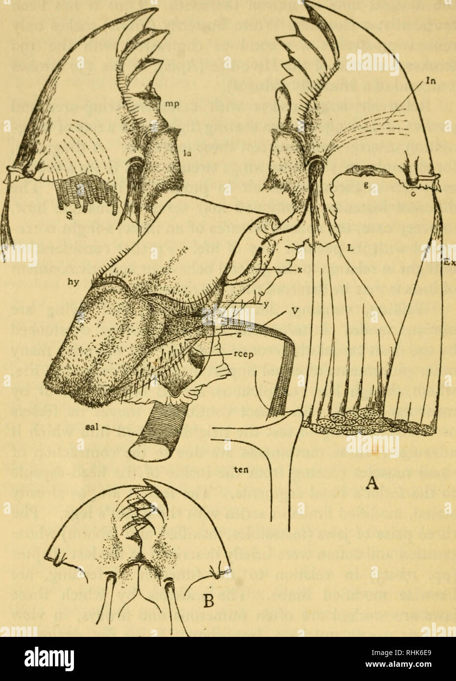 . The biology of insects. Insects -- Biology. 62 THE BIOLOGY OF INSECTS ...