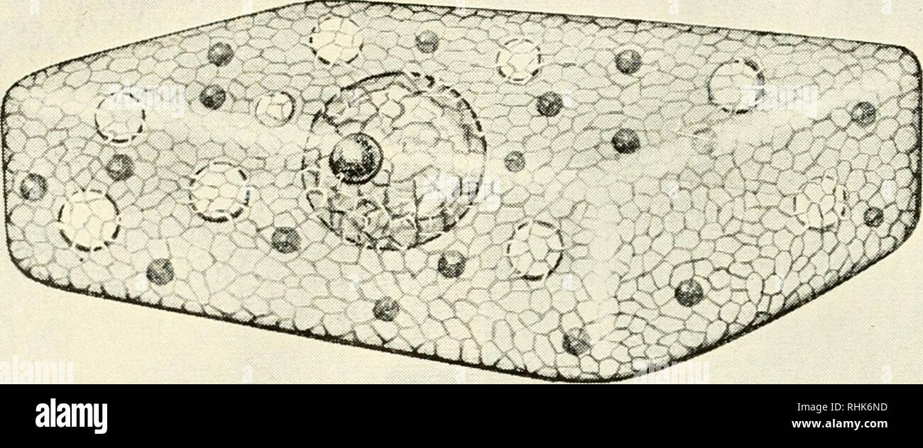 . Biology and man. Biology; Human beings. DIAGRAM OF A CELL Under ...