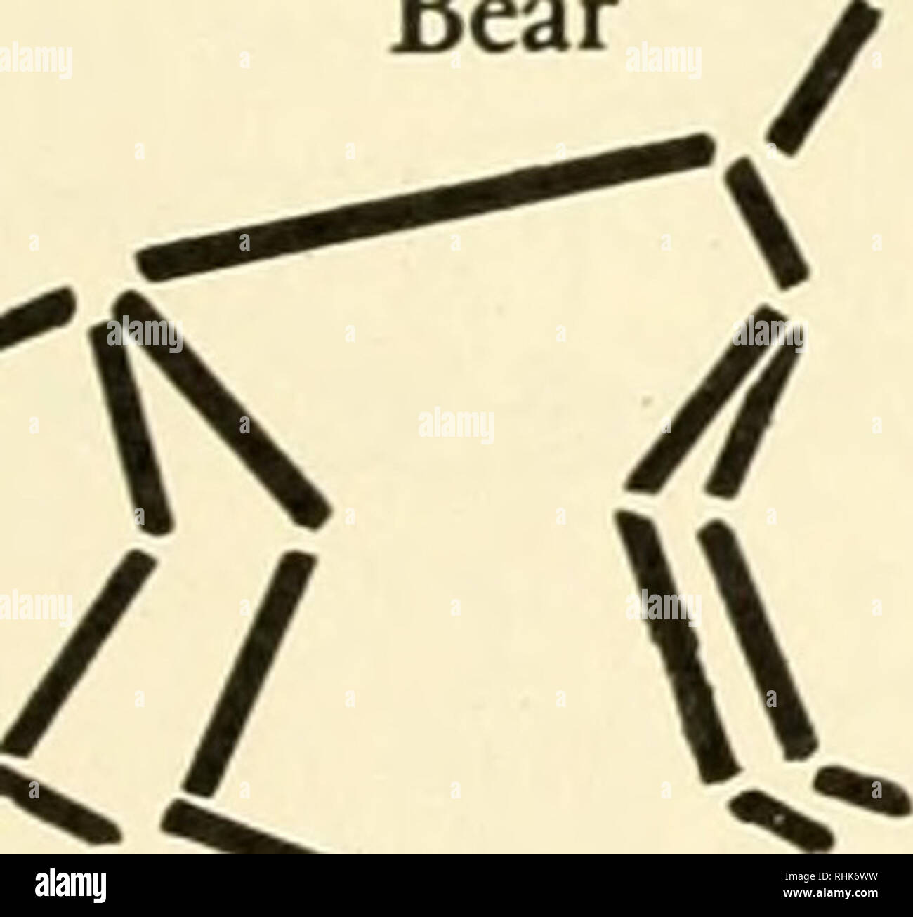 . Biology and man. Biology; Human beings. BILATERAL, OR TWO-SIDED ...