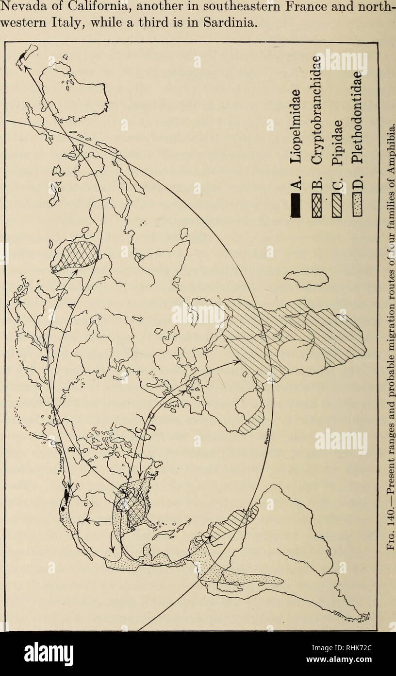 . The biology of the amphibia. Amphibians. 450 THE BIOLOGY OF THE ...