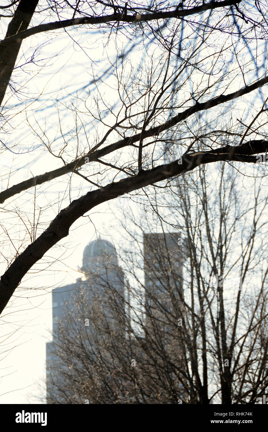 A New York City winter cityscape as seen through the leafless ...
