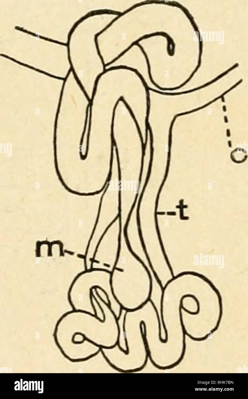 Vas vessel hi-res stock photography and images - Alamy