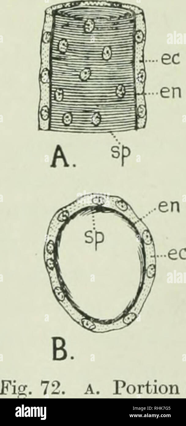 Stigma respiratory hi-res stock photography and images - Alamy